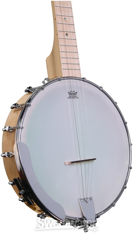 Washburn B102 5-string Open Back Banjo | Sweetwater.com